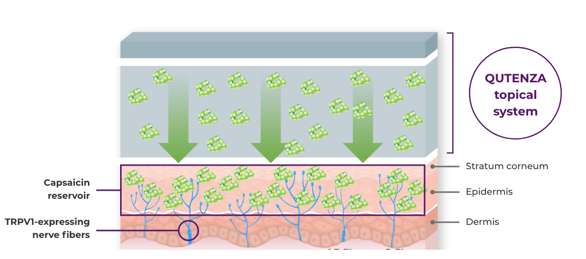 DPN - Designed to be Different | QUTENZA HCP